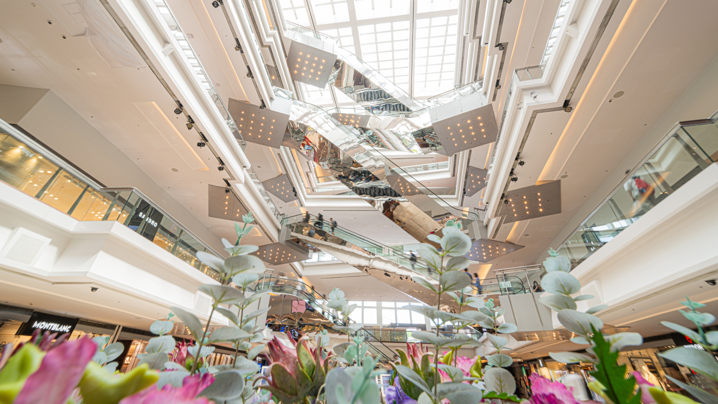 FESTIVAL WALK